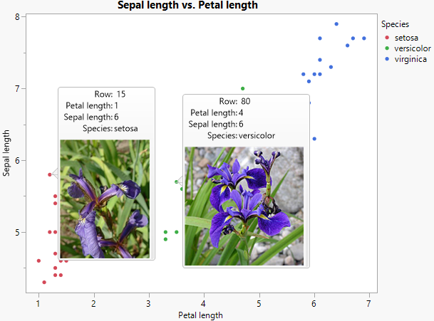 Hover labels: Understanding the extensions framework