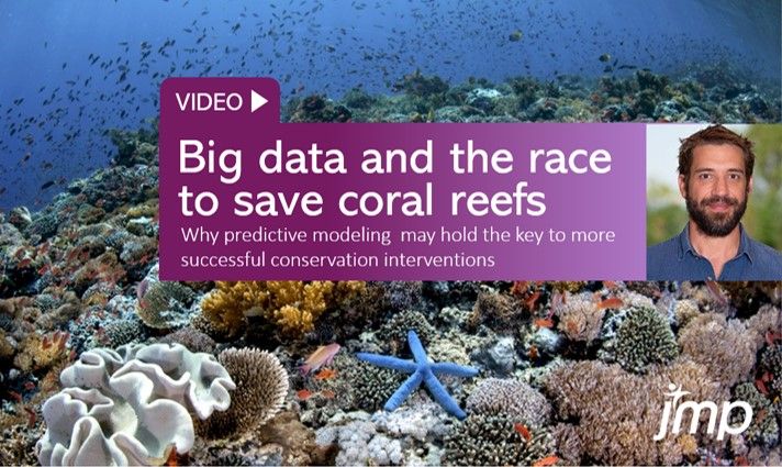 Video: Predictive modeling, JMP Pro and the race to preserve coral reefs