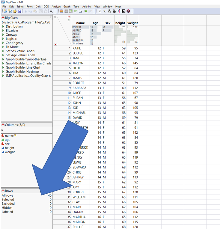The Most Important Dataview Non Excluded Rows Jmp User Community 