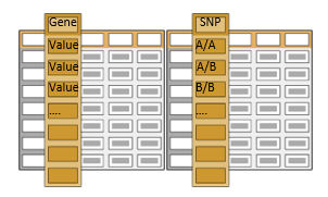 How to perform gene expression data analysis in JMP® Pro 17: Part 1 ...
