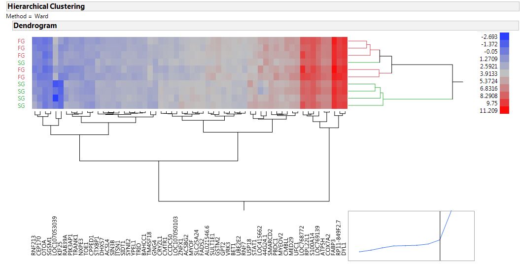 Solved: Single legend for Hierarchical clustering heat map - JMP User Community